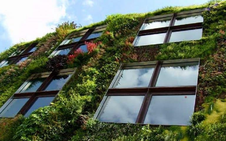 Gevel- en dakbegroeiing | Van Schaik Rack Solutions